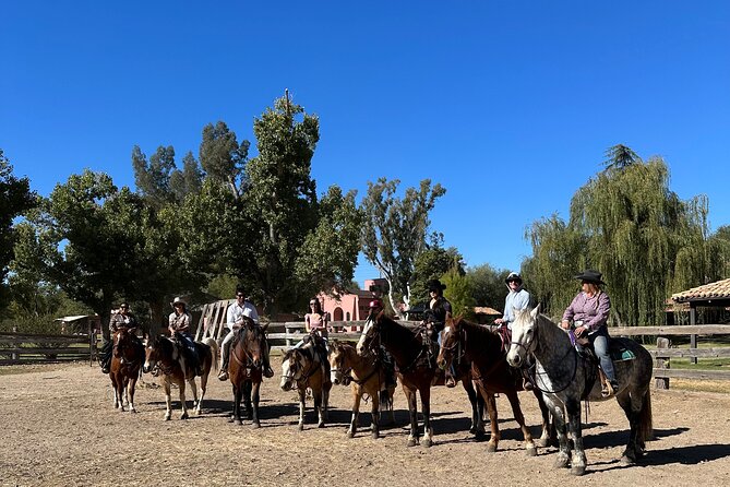 Guided 2 Hour Horseback Ride Catalina State Park Coronado Forest - An In-Depth Look at the Experience