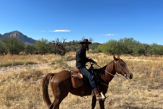Guided 2 Hour Horseback Ride Catalina State Park Coronado Forest - FAQ