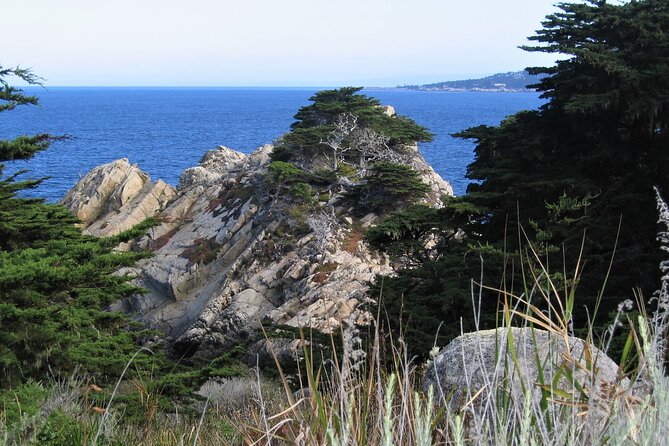 Guided 2-Hour Point Lobos Nature Walk - What to Expect from the Tour