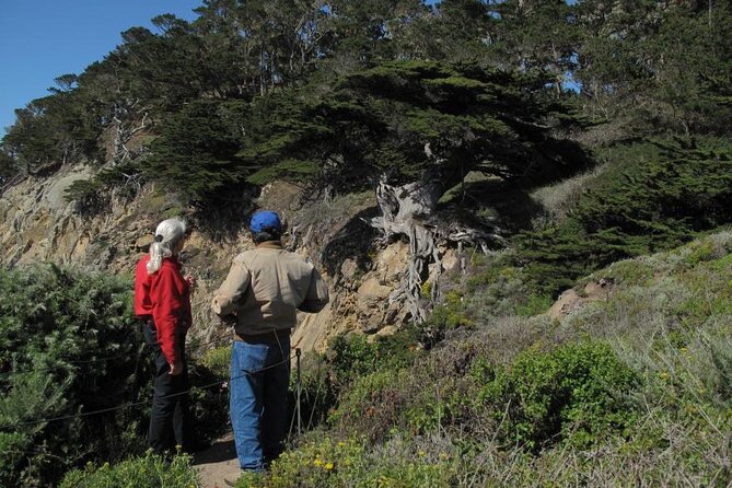 Guided 2-Hour Point Lobos Nature Walk - Final Thoughts