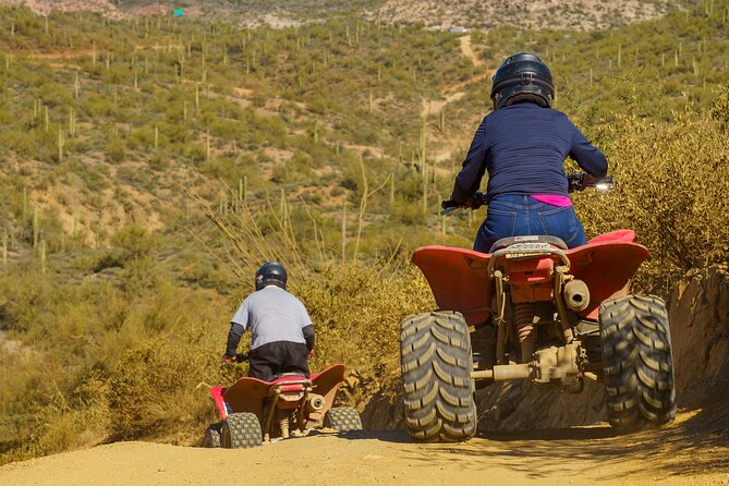 Guided Arizona Desert Tour by ATV - Centipede Tour - A Closer Look at the Tour Experience