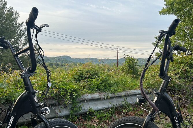 Guided Asheville E-bike Tour of River Arts, Mountains and Murals - The Itinerary in Detail: What to Expect