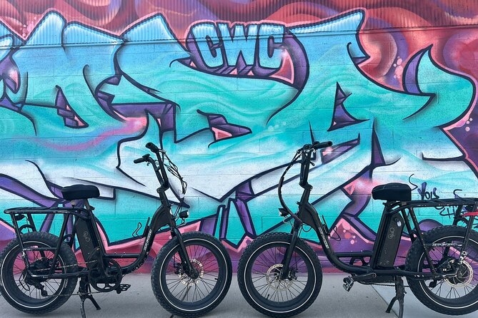 Guided Asheville E-bike Tour of River Arts, Mountains and Murals - What’s Included and Practical Details