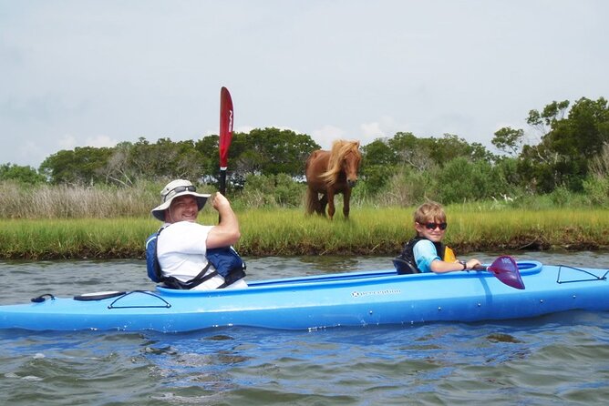 Guided Assateague Kayaking and Wildlife Discovery Tour - An In-Depth Look at the Assateague Kayaking Tour
