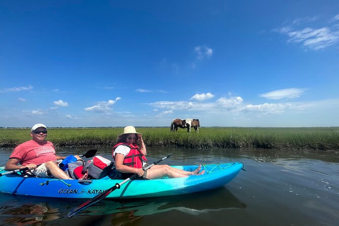 Guided Assateague Kayaking and Wildlife Discovery Tour - Who Is This Tour Best For?