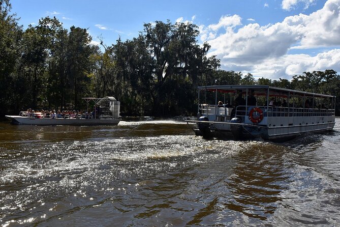 Guided Boat Tour of New Orleans Bayou and Wildlife - Final Thoughts: Who Should Consider This Tour?