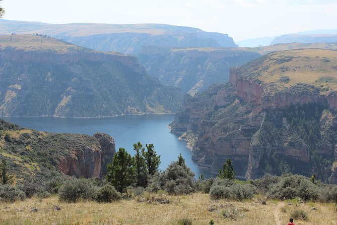 Guided Bus Tour in Big Horn Valley - Insights from Traveler Feedback
