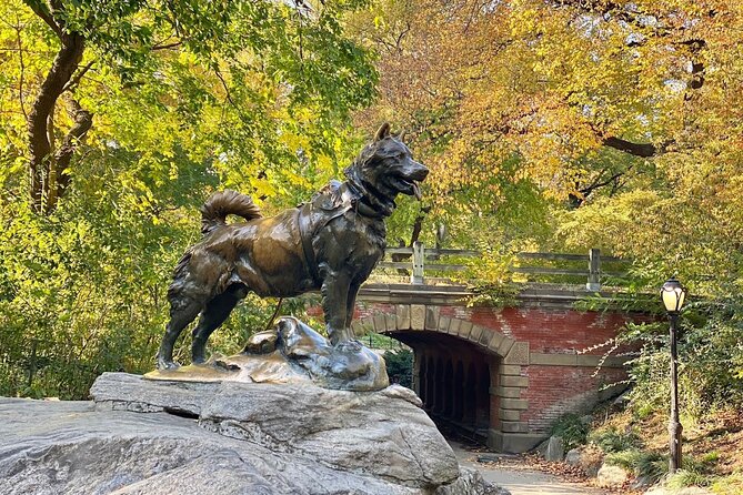 Guided Central Park Bike Tour 2 Hours - FAQs About the Guided Central Park Bike Tour