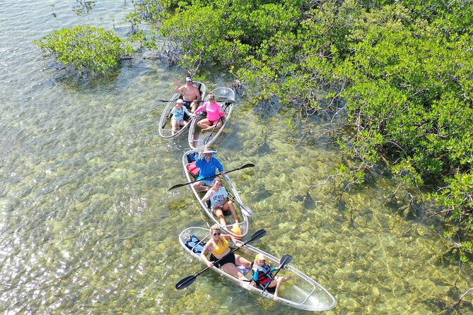 Guided Clear Kayak Eco-Tour Near Key West - The Itinerary Breakdown: What to Expect