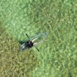 Guided Clear Kayak Eco-Tour Near Key West - Why the Price Reflects the Experience