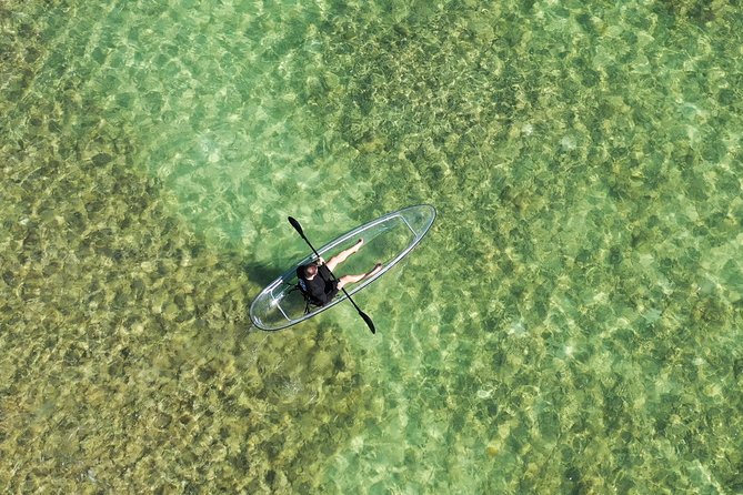Guided Clear Kayak Eco-Tour Near Key West - Why the Price Reflects the Experience