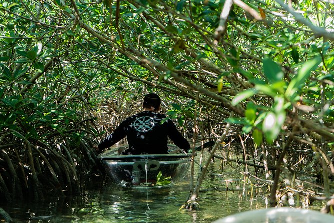 Guided Clear Kayak Eco-Tour Near Key West - Final Thoughts