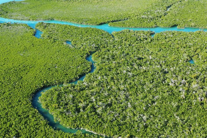 Guided Clear Kayak Eco-Tour Near Key West - FAQ