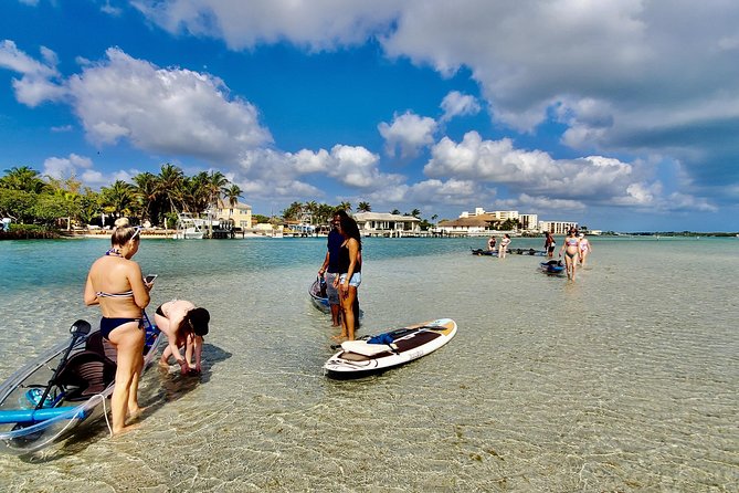 Guided Clear Kayak Eco-Tour of Jupiter - Why You Should Book This Tour