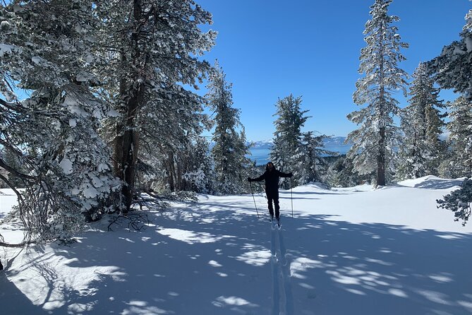 Guided Cross Country Skiing at Lake Tahoe - Exploring the Experience in Depth