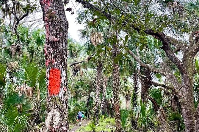 Guided Day Hike Through Florida's wild Backcountry. - Exploring Florida’s Wild Backcountry: A Guided Day Hike Review