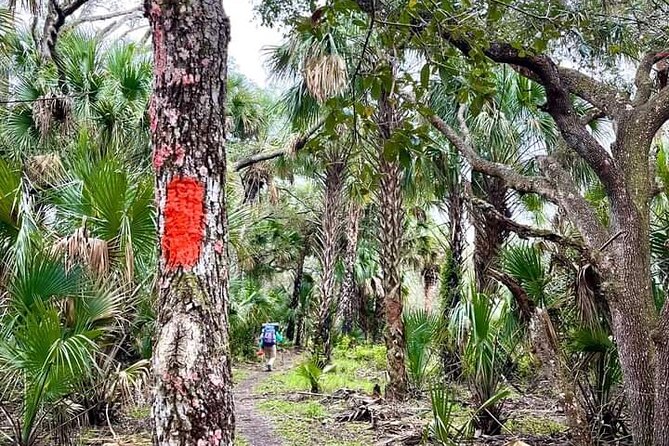 Guided Day Hike Through Florida's wild Backcountry. - Key Points