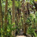 Guided Day Hike Through Florida's wild Backcountry. - An In-Depth Look at the Guided Backcountry Hike