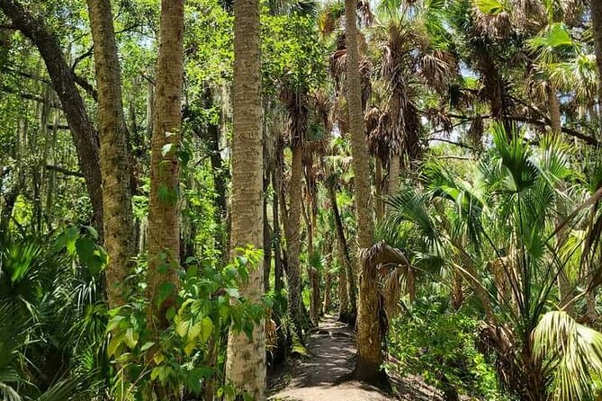 Guided Day Hike Through Florida's wild Backcountry. - An In-Depth Look at the Guided Backcountry Hike