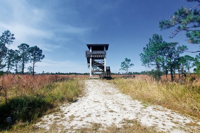 Guided Day Hike Through Florida's wild Backcountry. - Frequently Asked Questions