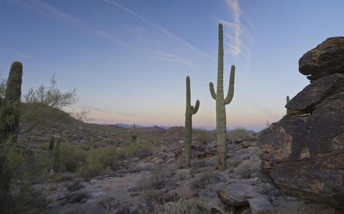 Guided Desert Sunrise or Evening/Sunset 2-Hour Hike at South Mtn - The Experience: A Thorough Breakdown