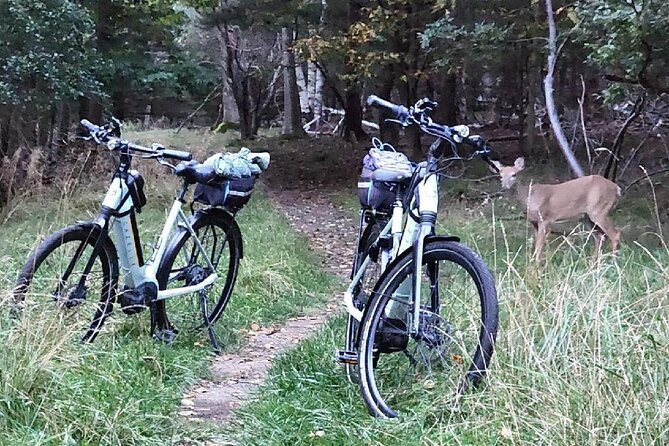 Guided Ebike Tour of Acadia National Park Carriage Roads - Stop 2: Jordan Pond and the Iconic Bridges