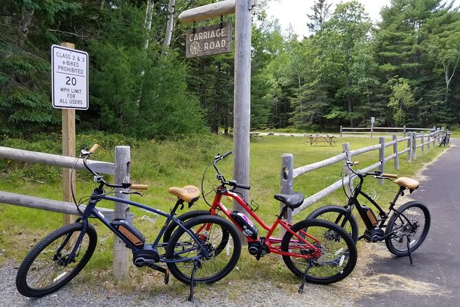 Guided Ebike Tour of Acadia National Park Carriage Roads - What Makes This Tour Stand Out?