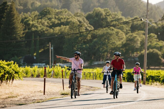 Guided Electric Bike Wine Tour Through Sonoma County - Key Points