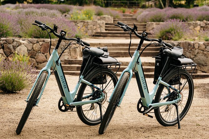 Guided Electric Bike Wine Tour Through Sonoma County - Who Will Love This Tour?