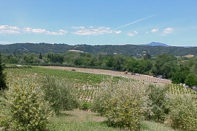 Guided Electric Bike Wine Tour Through Sonoma County - The Sum Up