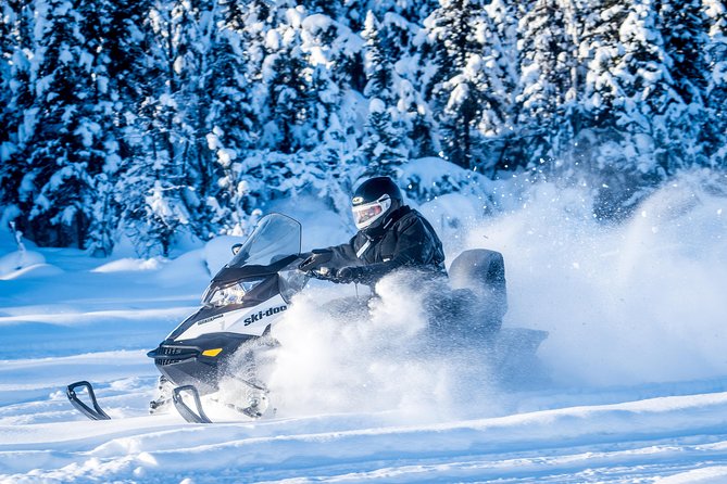 Guided Fairbanks Snowmobile Tour - The Experience at a Glance
