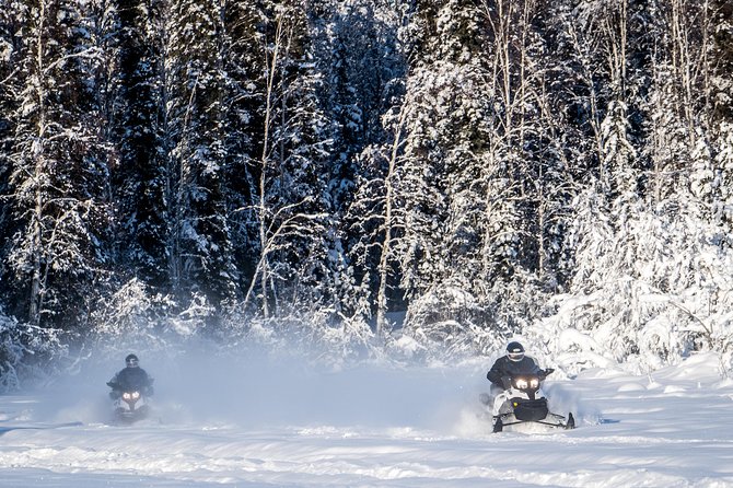 Guided Fairbanks Snowmobile Tour - The Itinerary: What to Expect