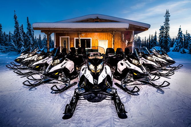 Guided Fairbanks Snowmobile Tour - Final Thoughts