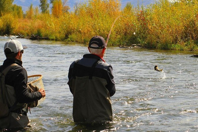 Guided Fly Fishing Experience in Park City - What Makes This Fly Fishing Experience Stand Out?