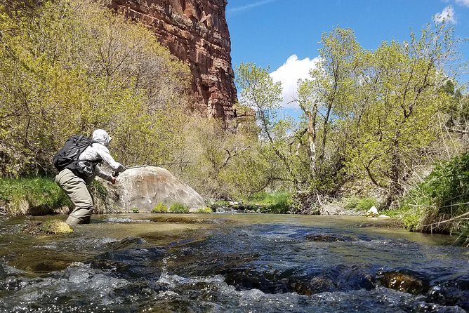 Guided Fly Fishing Experience in Park City - The Sum Up