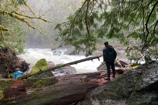 Guided forest hike to Seattle waterfalls incl. Snoqualmie Falls - Starting Point and Transportation