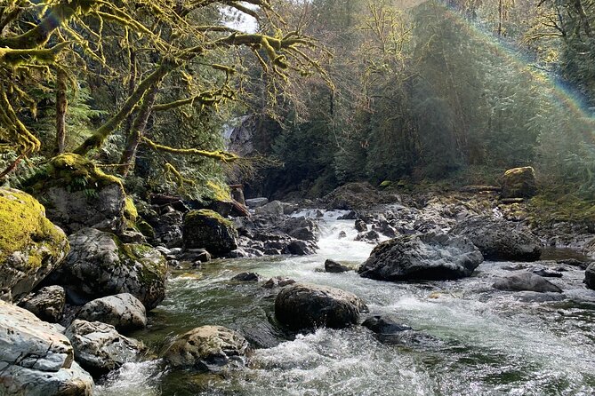 Guided forest hike to Seattle waterfalls incl. Snoqualmie Falls - What the Tour Offers in Terms of Value