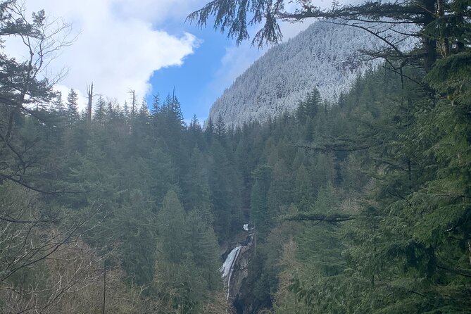 Guided forest hike to Seattle waterfalls incl. Snoqualmie Falls - Potential Drawbacks to Consider