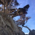 Guided full-day Big Sur hiking adventure with lunch - Who Will Benefit Most?