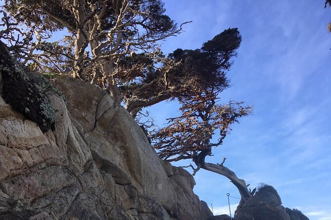 Guided full-day Big Sur hiking adventure with lunch - Who Will Benefit Most?