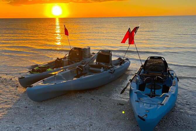Guided Glow LED Kayak Sunset Activity in Bonita Springs - The Experience: What to Expect on the Tour