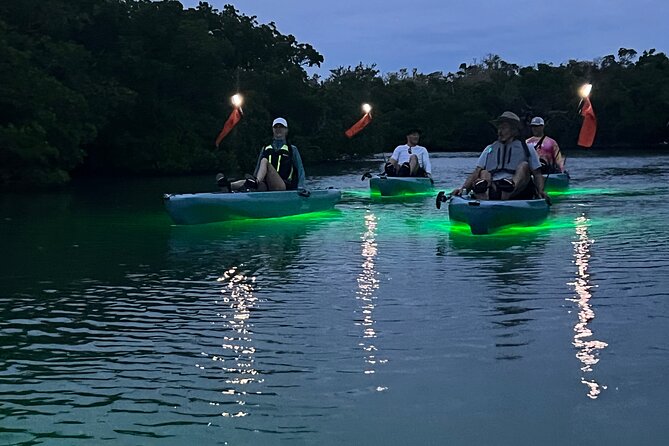 Guided Glow LED Kayak Sunset Activity in Bonita Springs - The Practical Details
