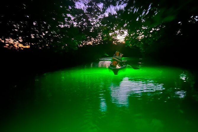 Guided Glow LED Kayak Sunset Activity in Bonita Springs - Why This Tour Works Well