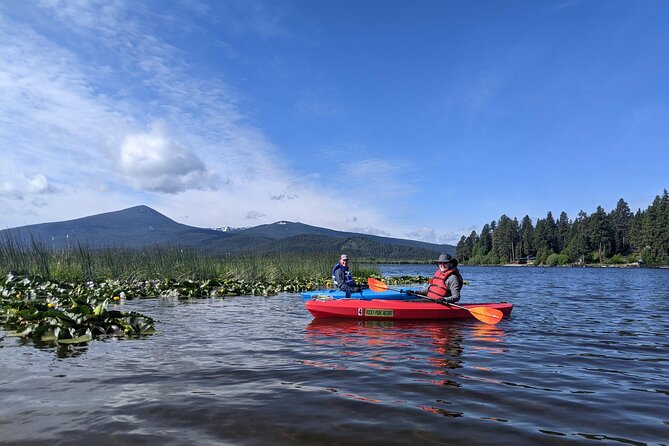Guided Half-Day Kayak Tour - FAQ