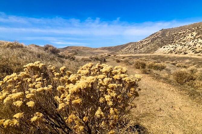 Guided Half-Day Scenic Tour - Off The Beaten Path - The Additional Highlights