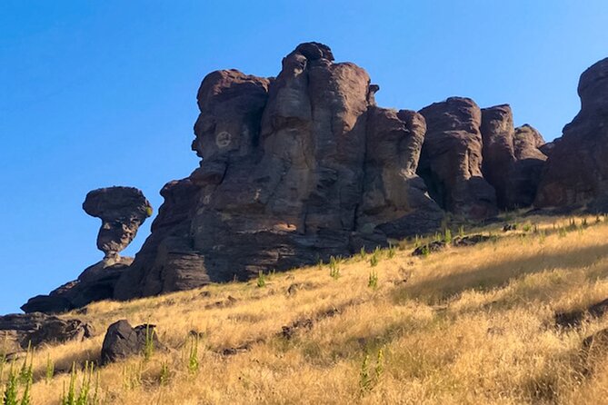 Guided Half-Day Scenic Tour - Off The Beaten Path - Who Is This Tour Best For?