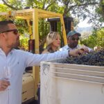 Guided Healdsburg Wine Country Bike and Wine Tasting Tour with lunch - An In-Depth Review of the Healdsburg Bike and Wine Tour
