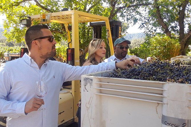 Guided Healdsburg Wine Country Bike and Wine Tasting Tour with lunch - An In-Depth Review of the Healdsburg Bike and Wine Tour