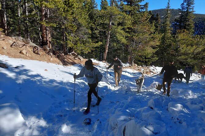 Guided hike in Rockies - Half Day Trip - Final Thoughts: Who Should Book This Tour?