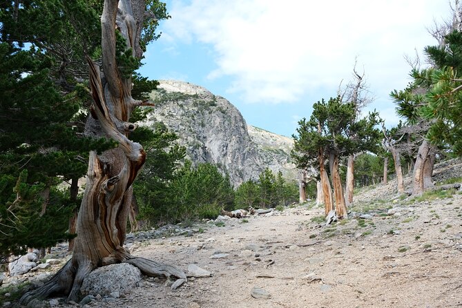 Guided hike in Rockies - Half Day Trip - FAQ